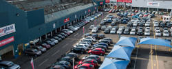 Dealership | Car Dealer Reviews